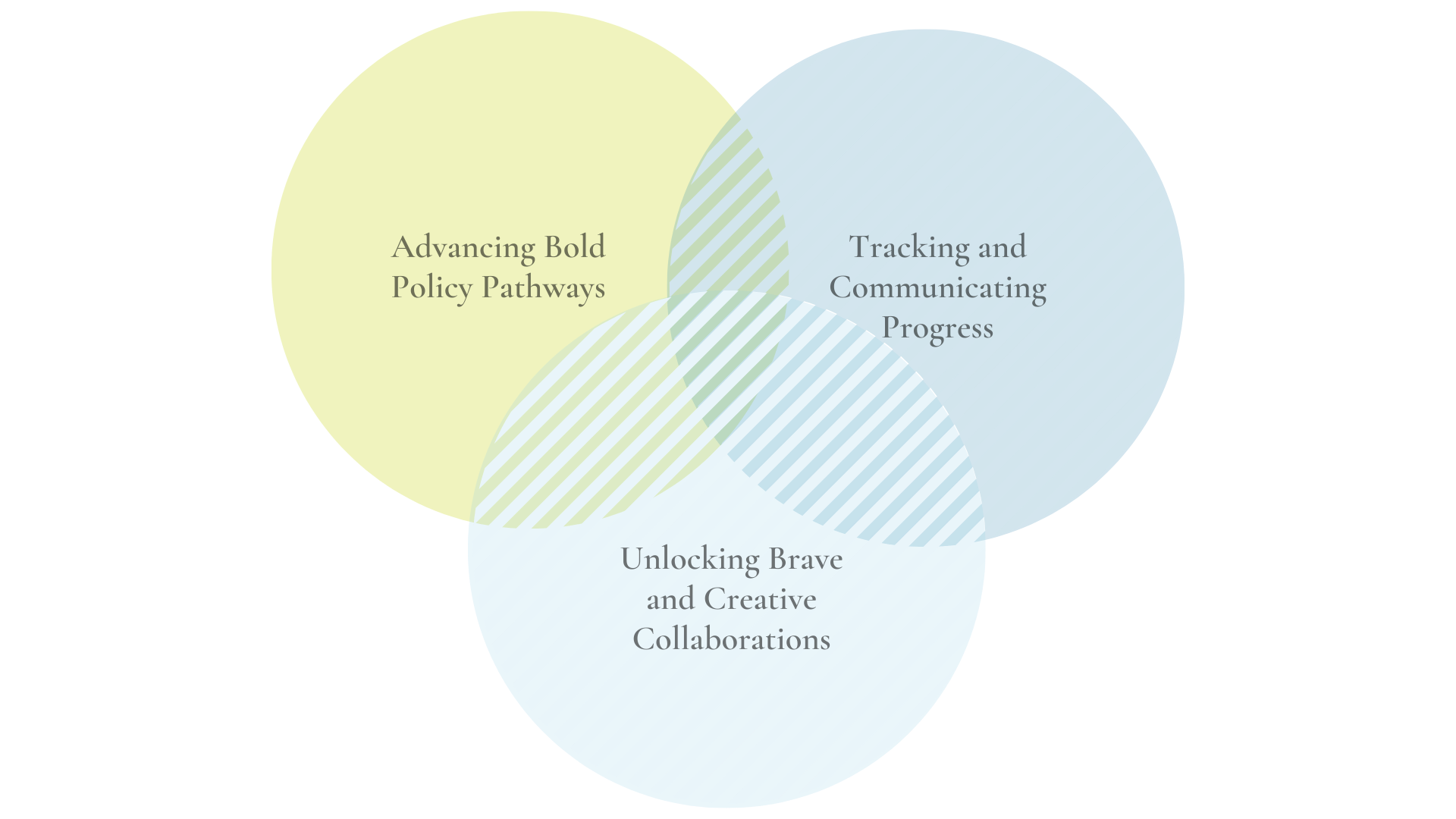 Evolution: A New Strategy for Growth, Impact, and Transformation - Blue ...